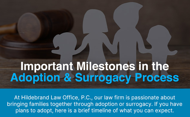 Important Milestones in the Adoption & Surrogacy Process [infographic ...